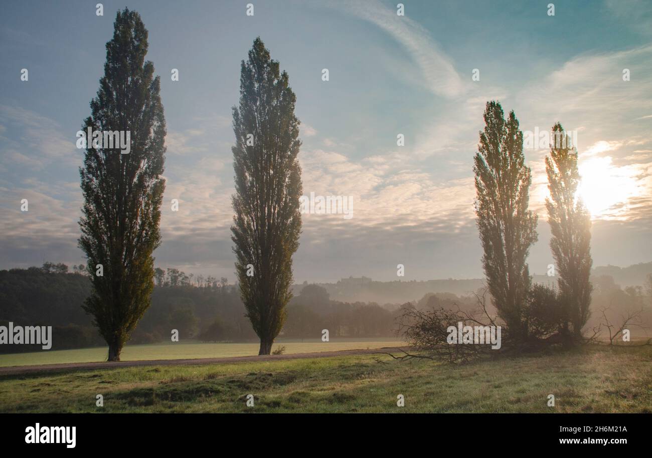 Makro landschaft hi-res stock photography and images - Alamy