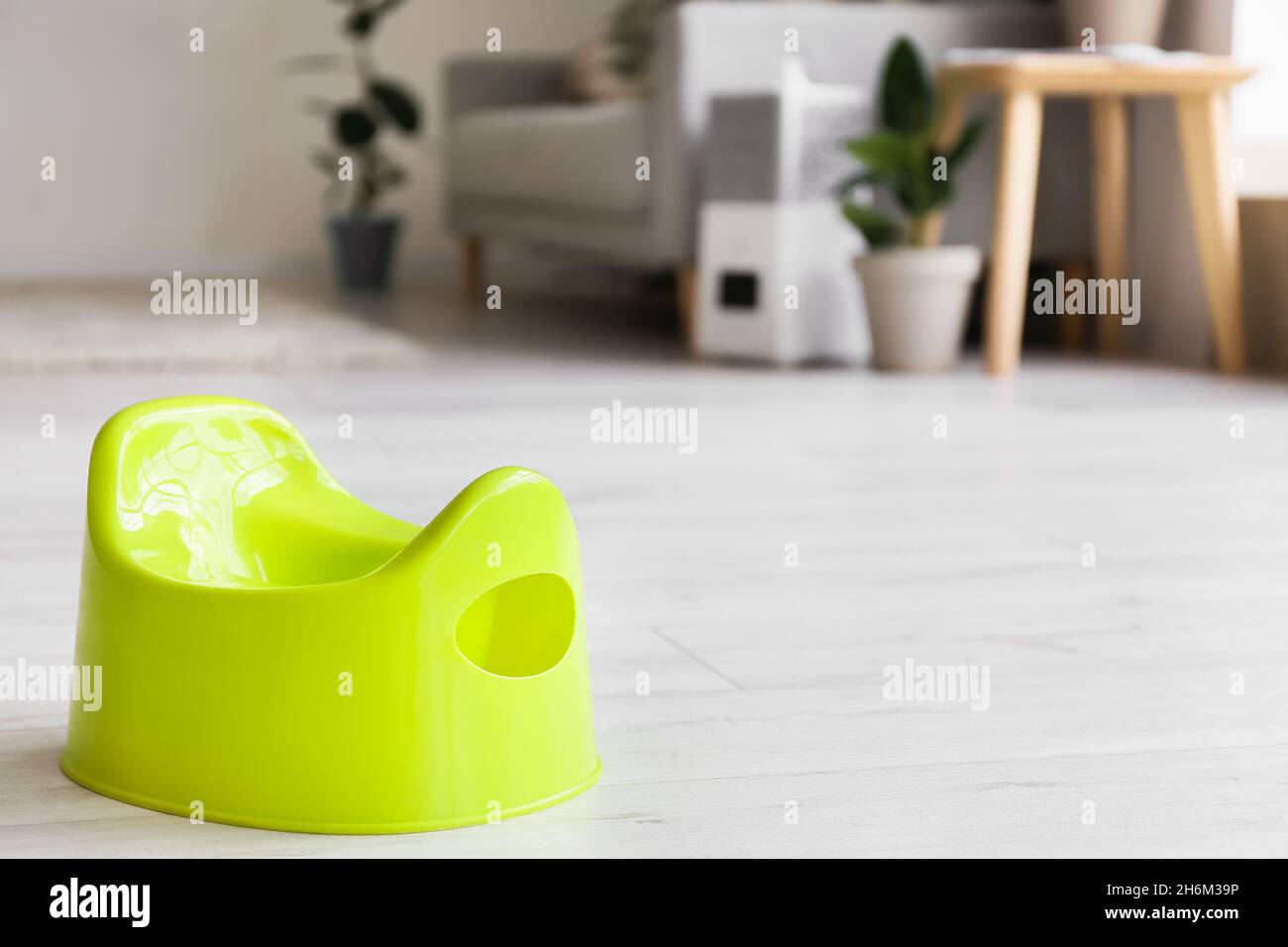 Green potty on grey wooden floor in room Stock Photo - Alamy