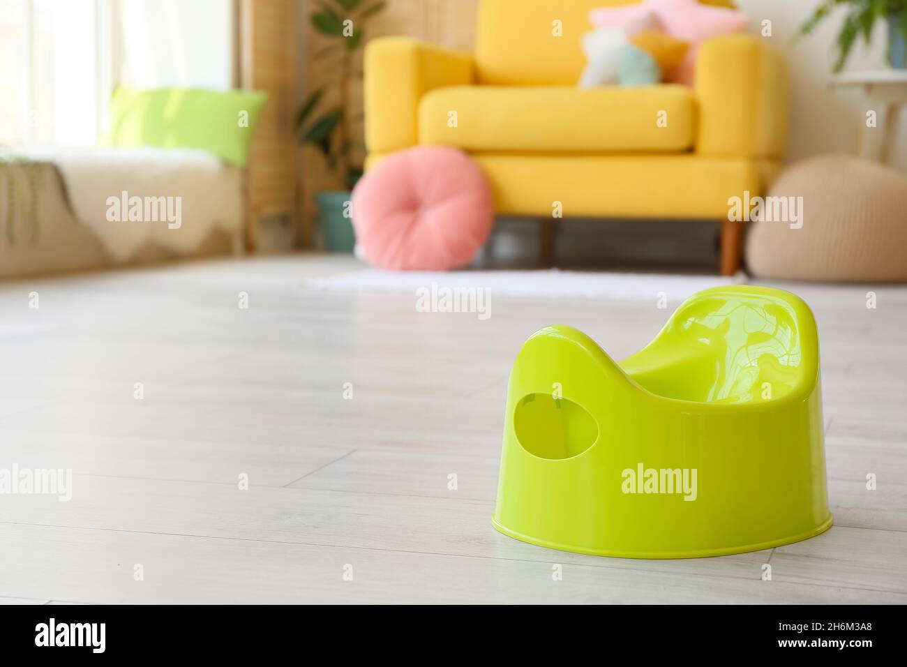 Green potty on grey wooden floor in light room Stock Photo - Alamy