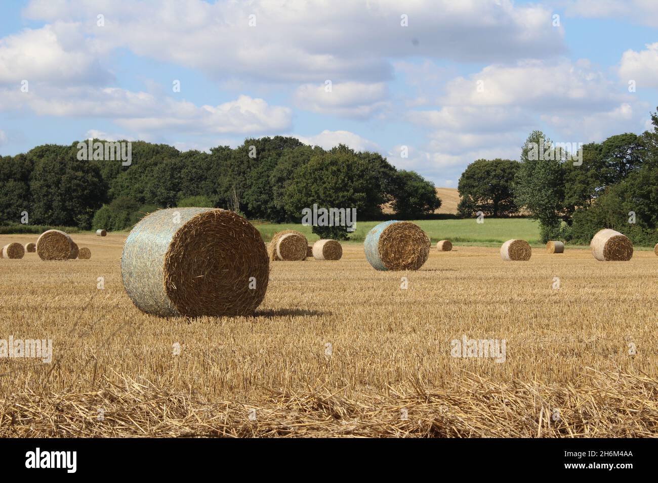 A summer's afternoon near Wakefield West Yorkshire in the UK, round hay ...