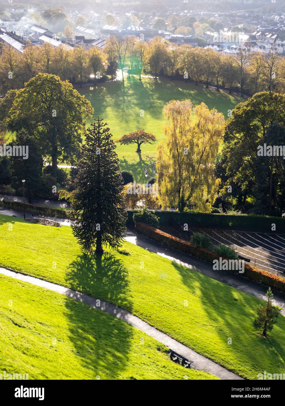 trees in the grounds of Clitheroe Castle in Clitheroe, Lancashire, UK ...