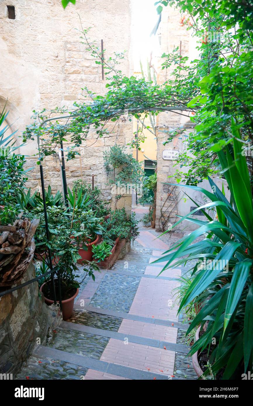 Cervo ligure, Italian roman city of the Ligurian riviera, in summer ...