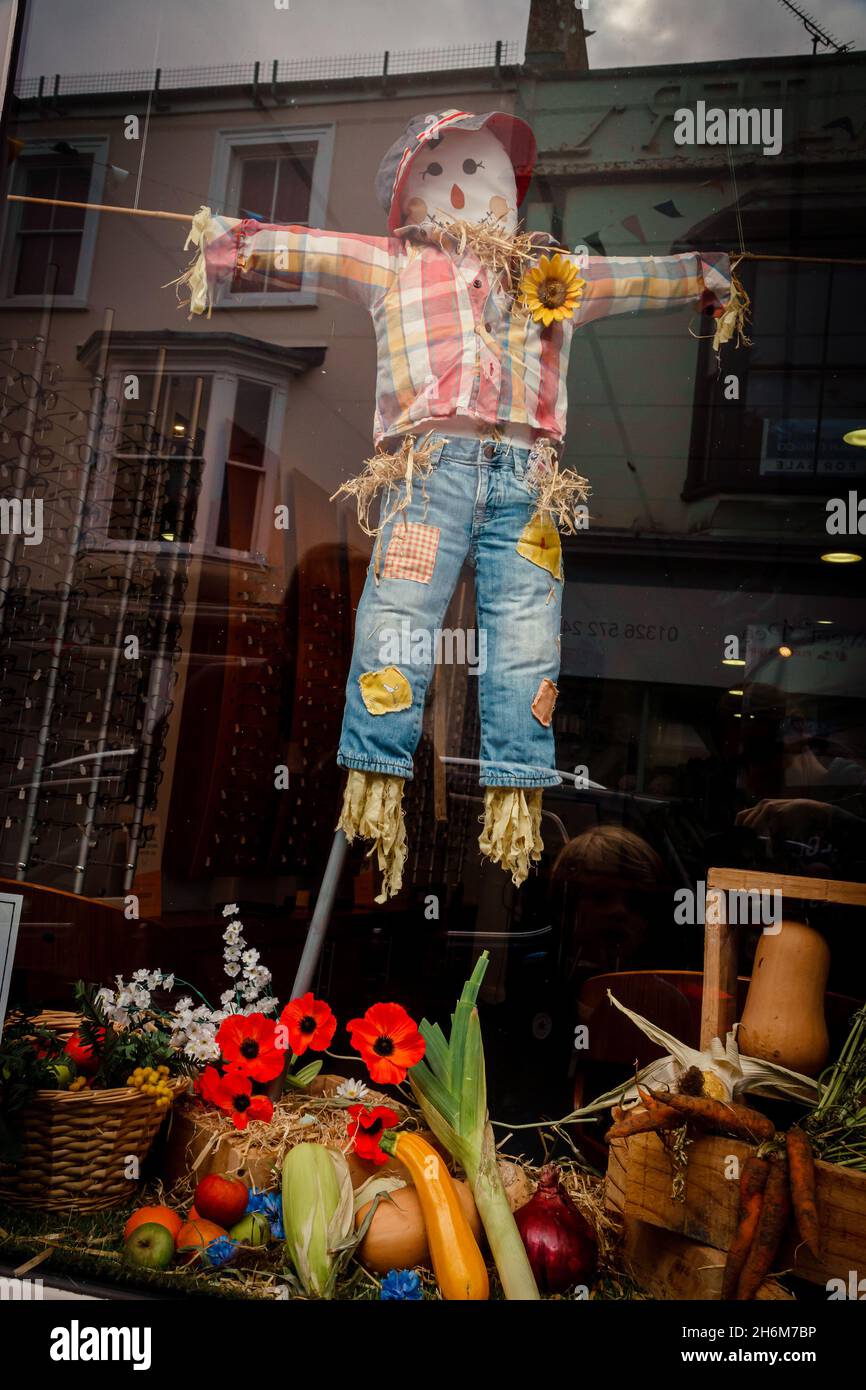Scarecrow window display on a scarecrow trail, harvest festival Stock ...