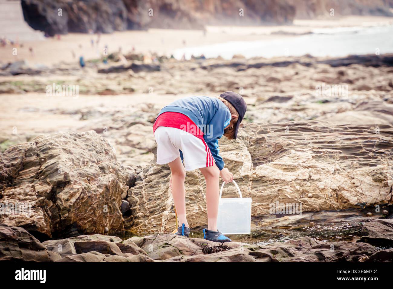 Caucasian child hunting in rock pools for crabs Stock Photo - Alamy