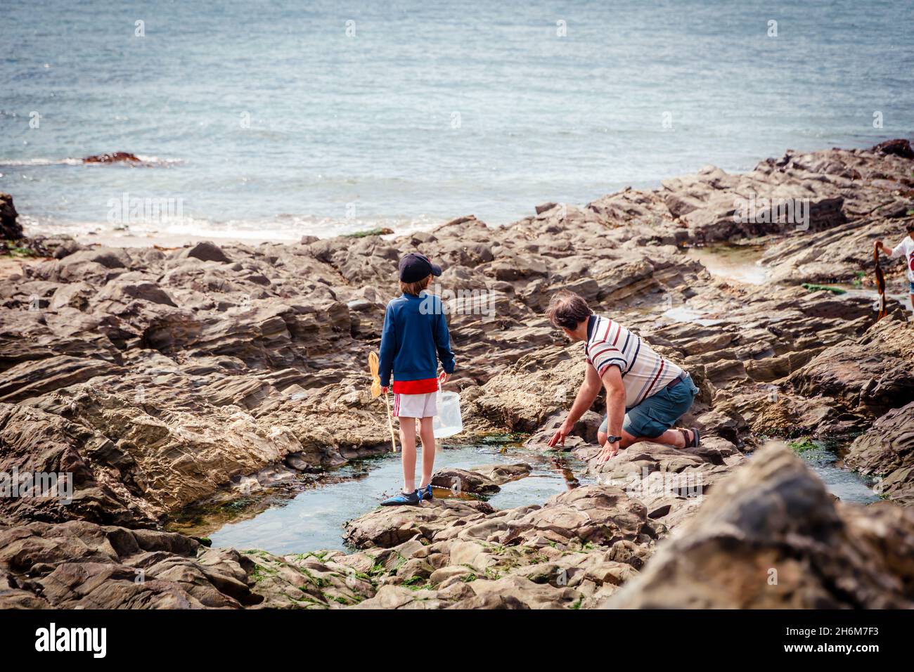 Dad and son child searching in rock pools Stock Photo - Alamy