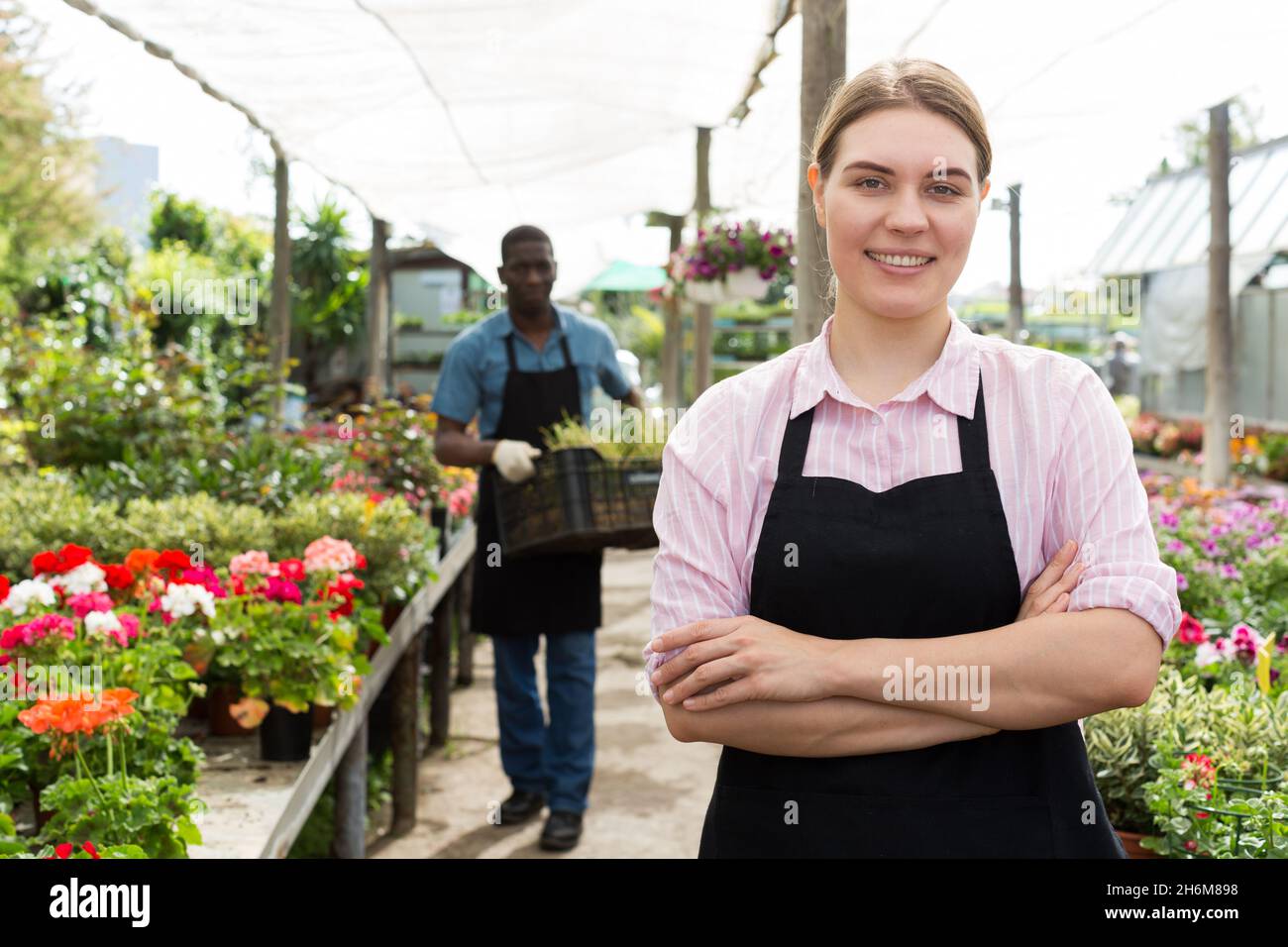 Female worker checking flowers in glasshouse Stock Photo - Alamy