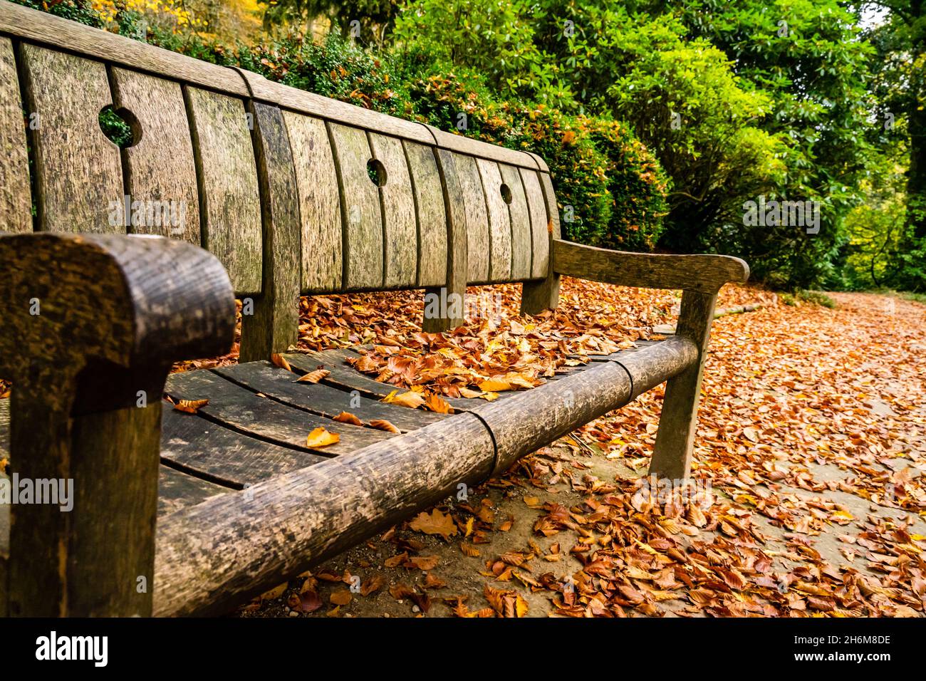 Autumn park bench Stock Photo - Alamy