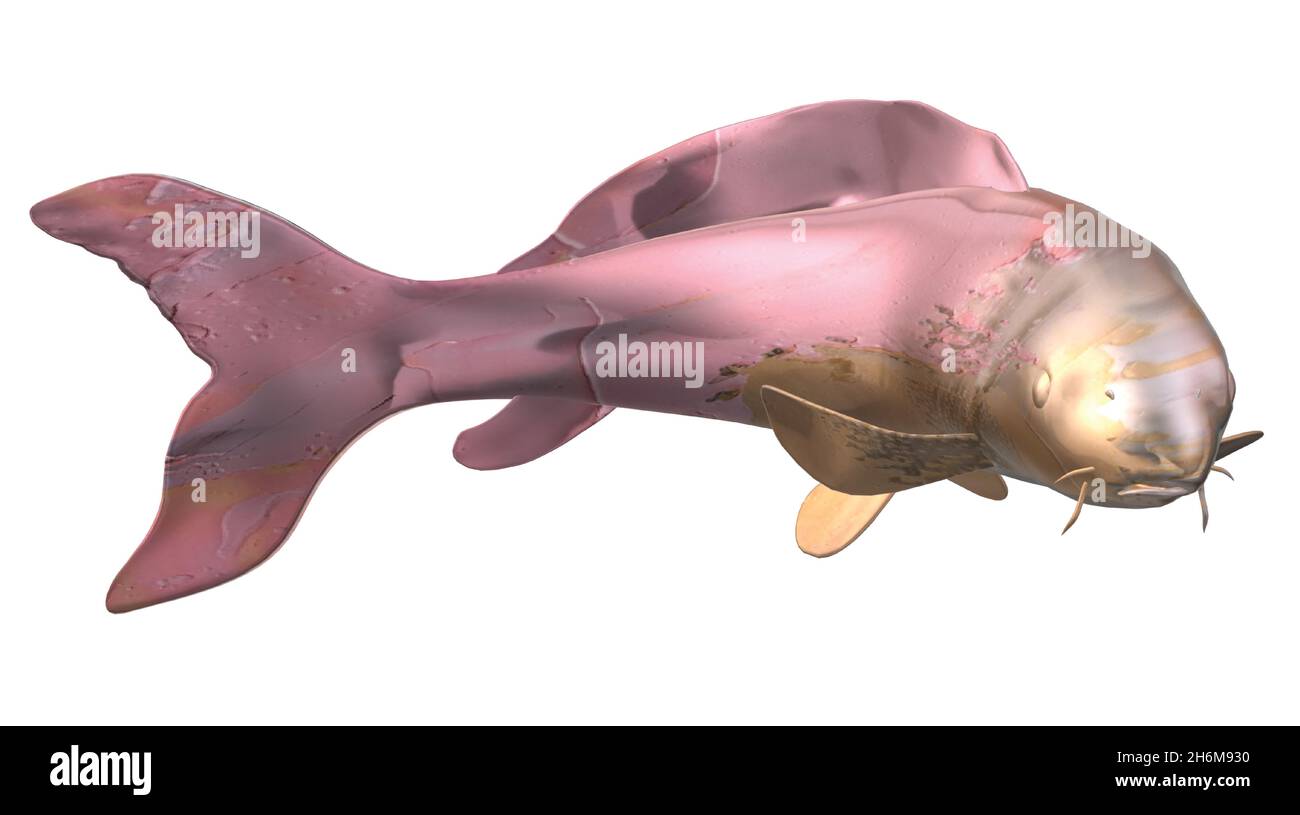 Pink Shiny Metal Fish Decoration Stock Vector Image & Art - Alamy
