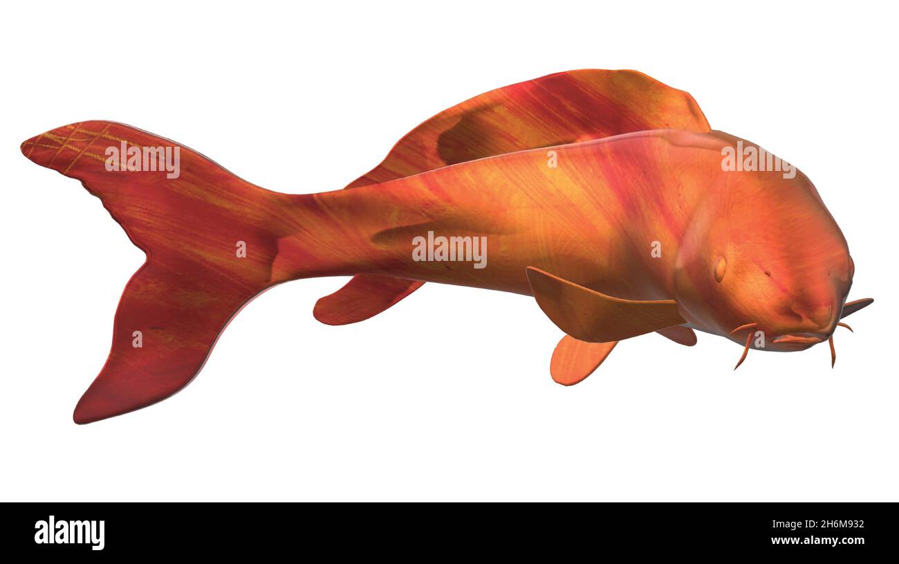 Very shiny fish Stock Vector Images - Alamy