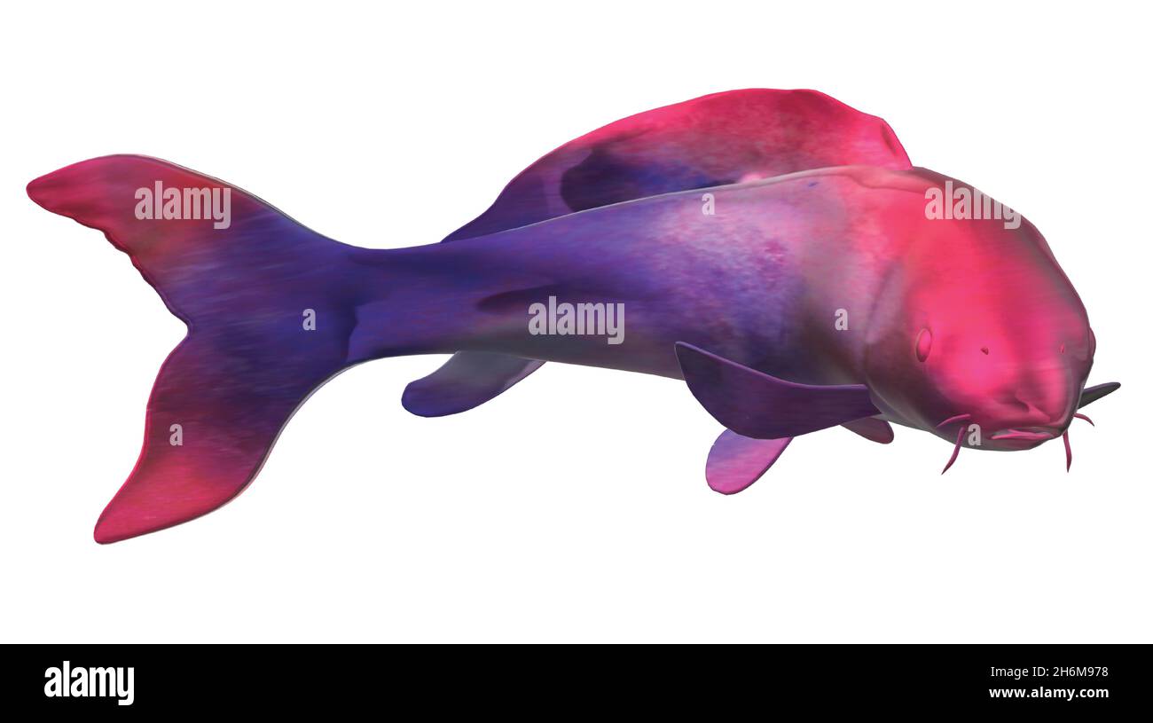 Metal fish decoration Stock Vector Images - Alamy