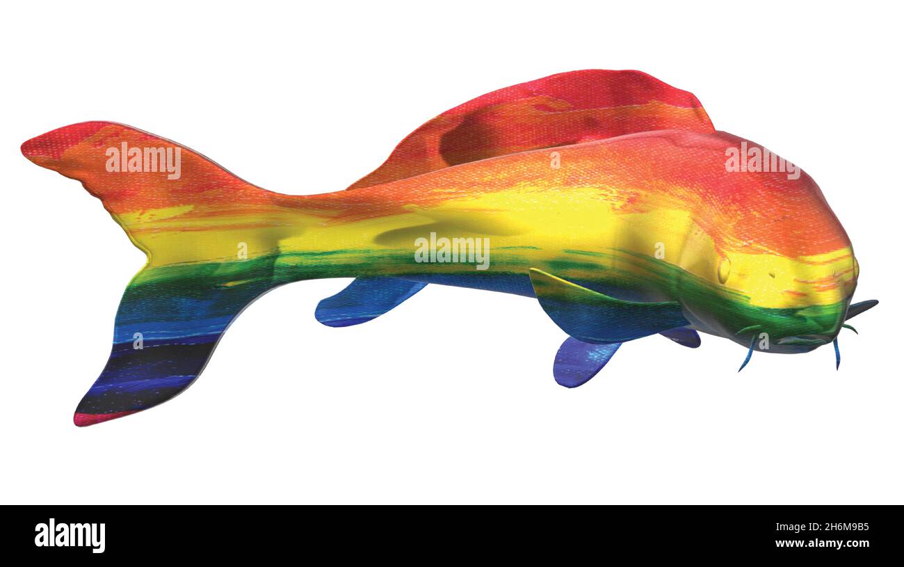 Fish for vibrant colors Cut Out Stock Images & Pictures - Alamy