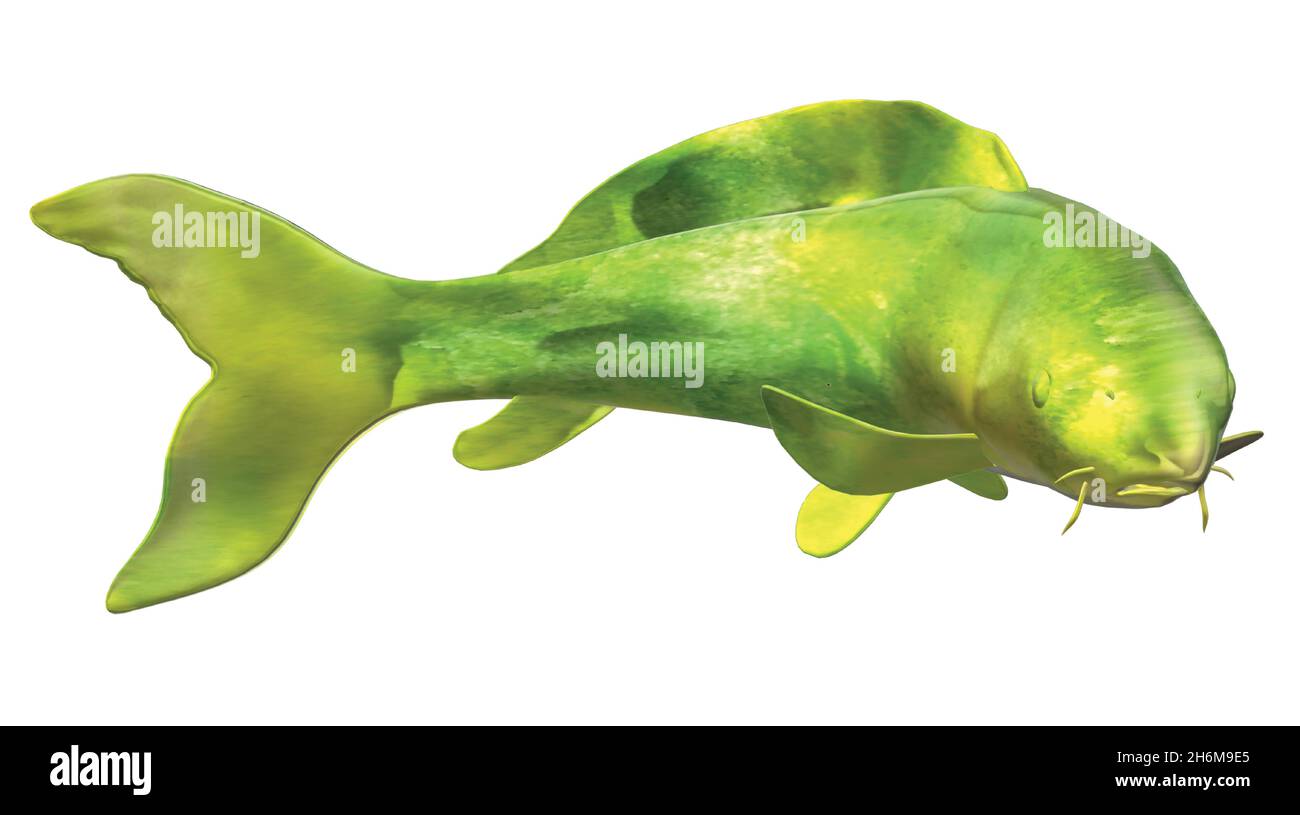 Metal fish decoration Stock Vector Images - Alamy