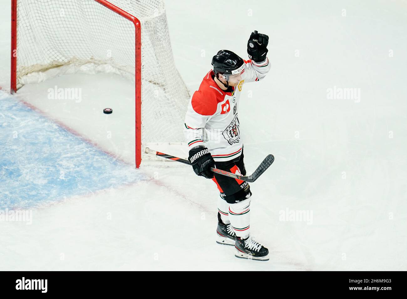 Mannheim, Germany. 16th Nov, 2021. Ice hockey: Champions League, Adler ...