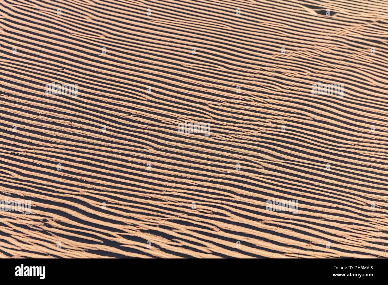 Sand ripple waves in the desert or on the beach on sunny day. Sandy ...