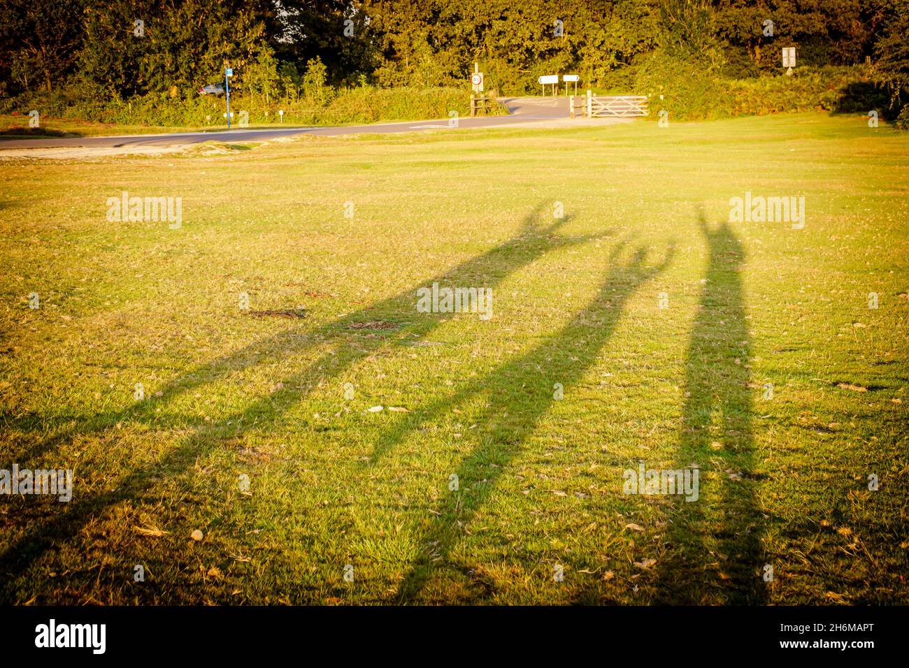 Simple fun hi-res stock photography and images - Alamy