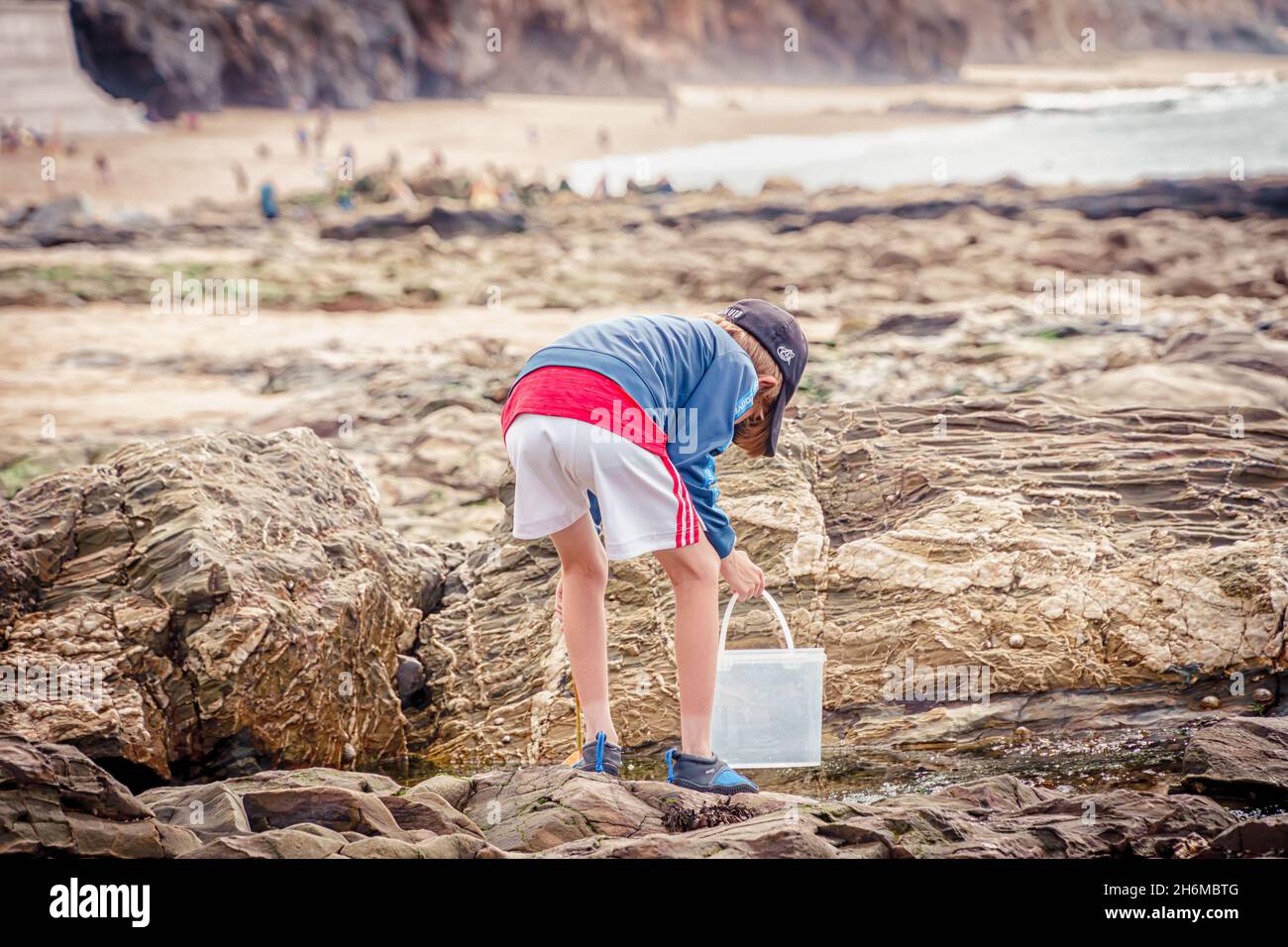 Rockpooling family hi-res stock photography and images - Alamy