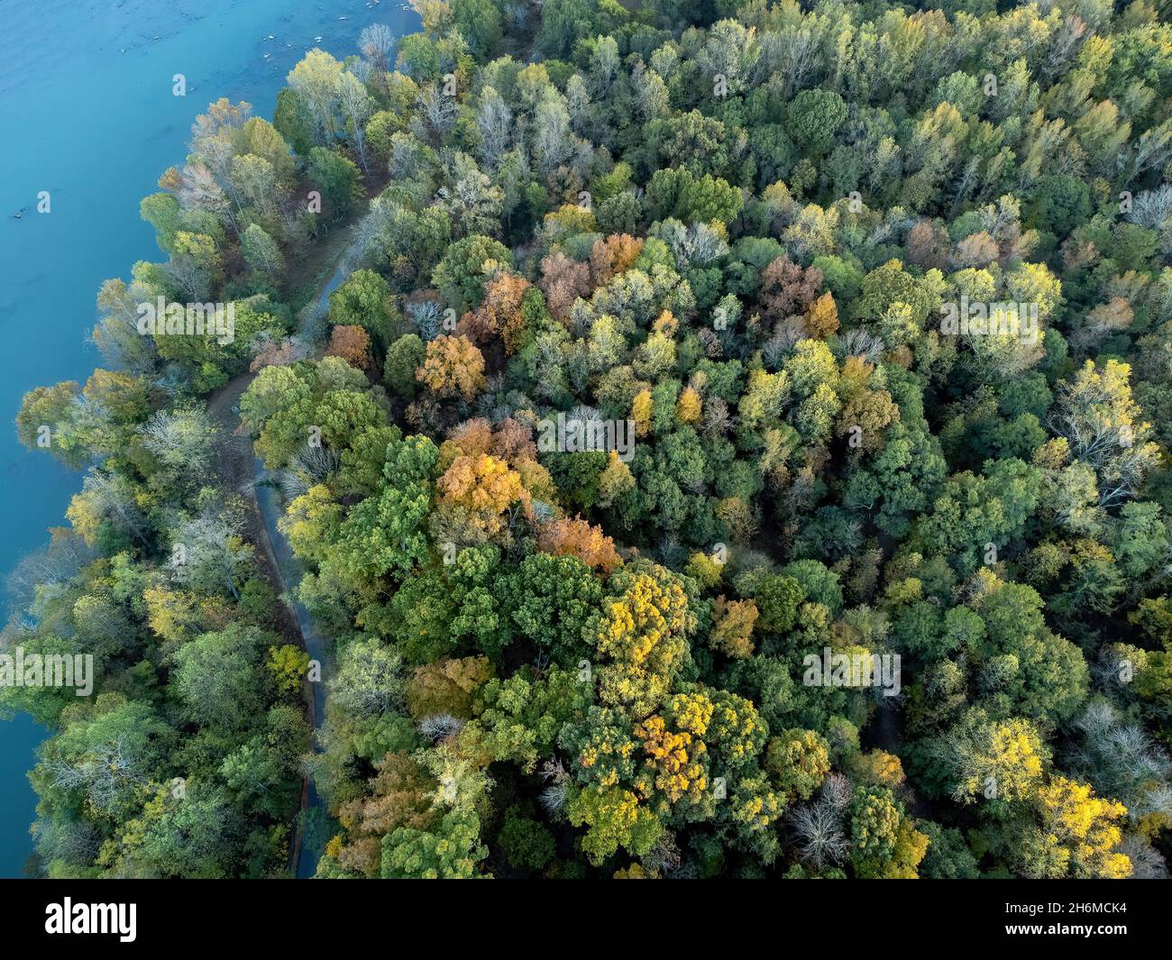 Fall foliage and river aerial view Stock Photo - Alamy