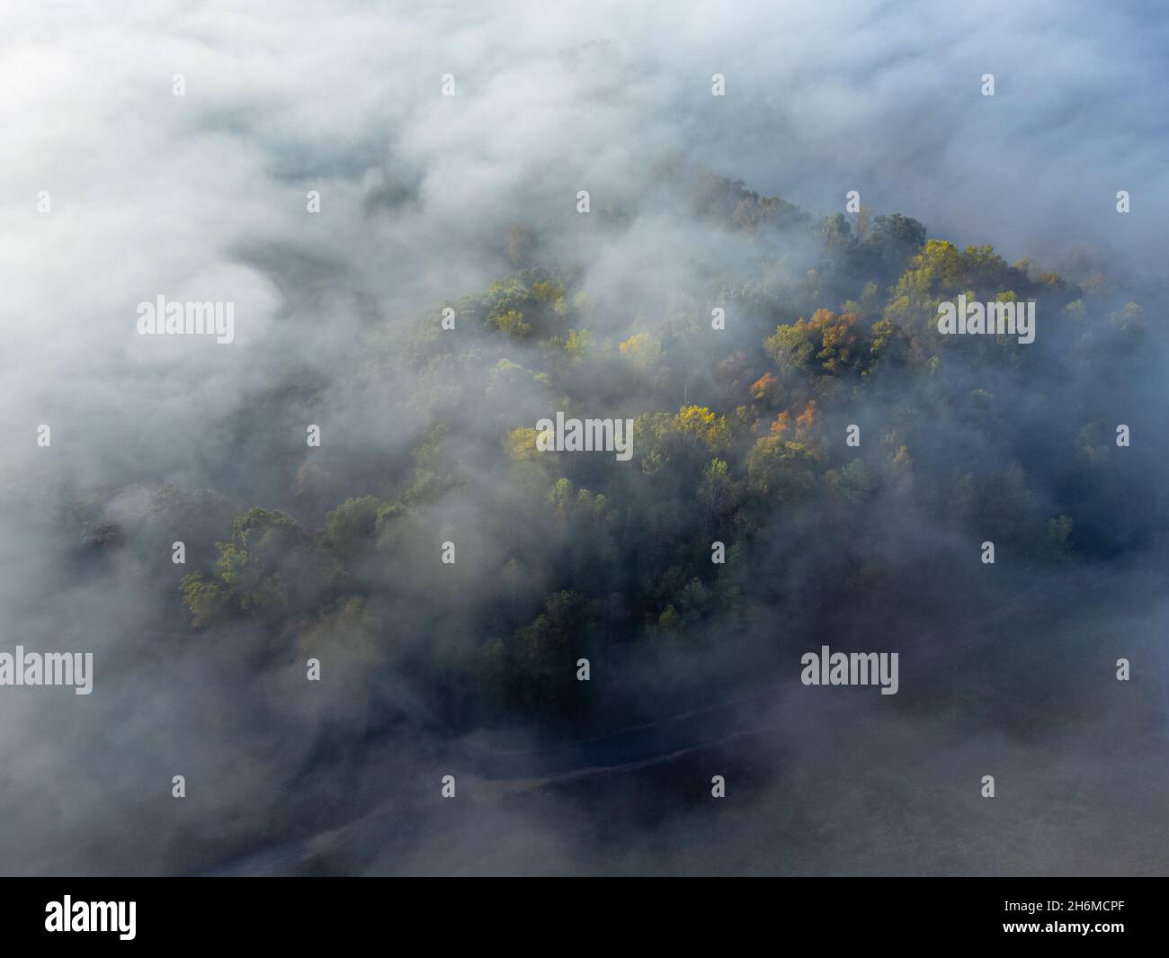 Fall foliage seen from overhead through mist and fog Stock Photo - Alamy
