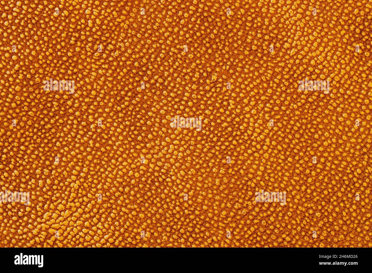 Mottled speckled spotted skin hi-res stock photography and images - Alamy