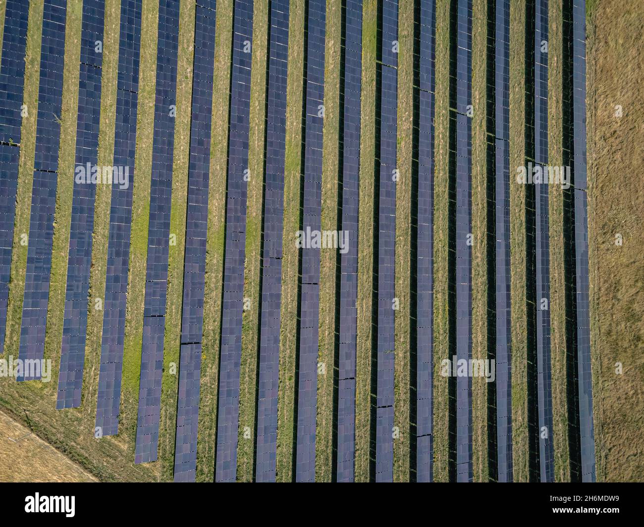 Renewable energy is energy that is collected from renewable resources ...