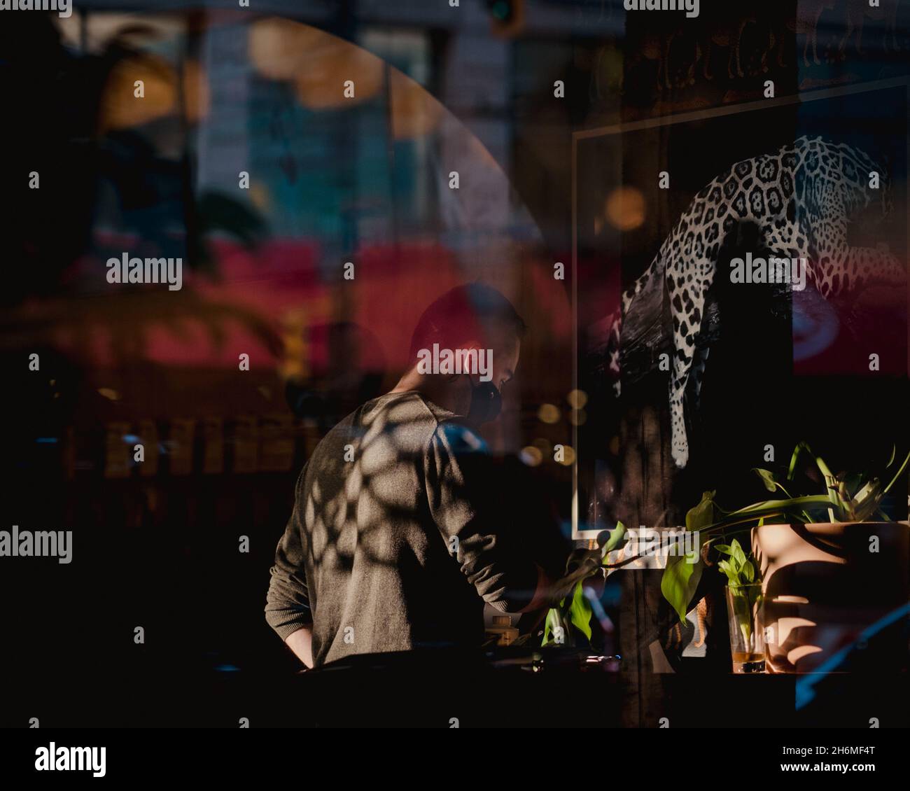 Reflection of a cool urban bar through a window -- including a leopard ...