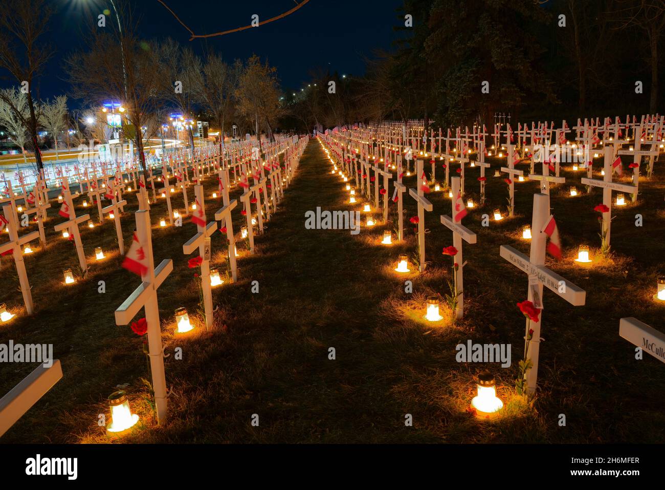Remembrance day crosses air hi-res stock photography and images - Alamy