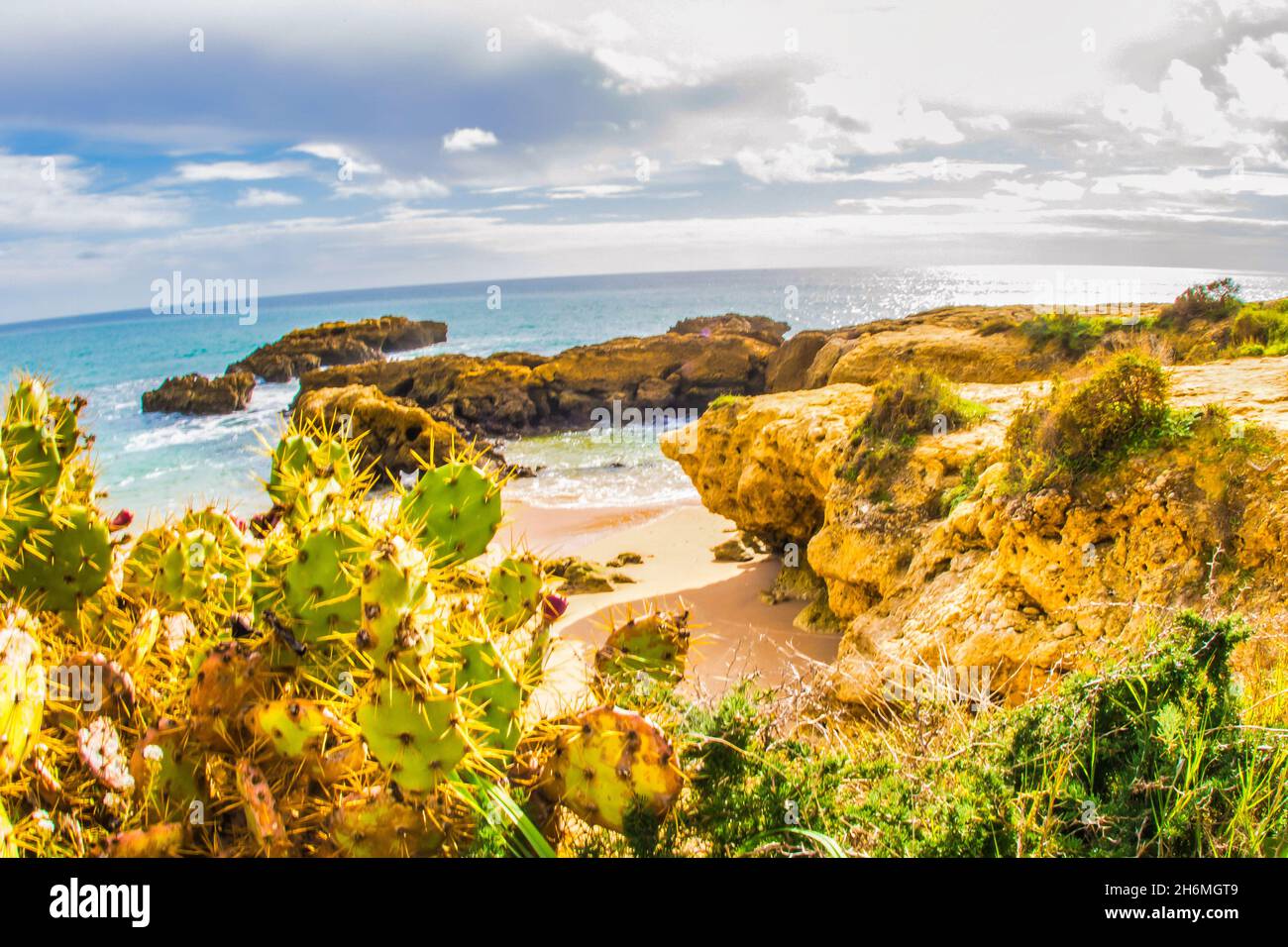 Scenic tropical beach in Albufeira, Portugal Stock Photo - Alamy
