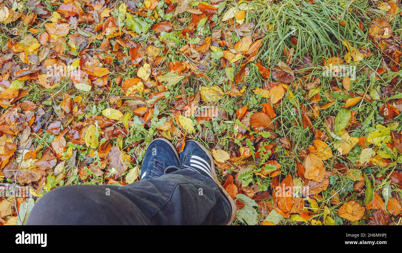 Autumn Leaves, Legs Crossed Stock Photo - Alamy