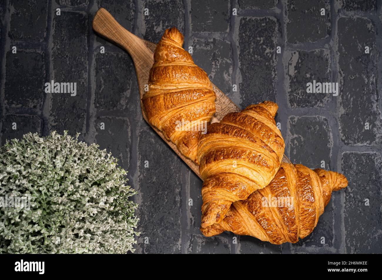 Traditional French bakery making confections and pastries Stock Photo ...