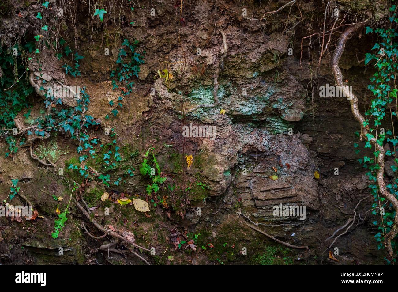Mudstone bank hi-res stock photography and images - Alamy