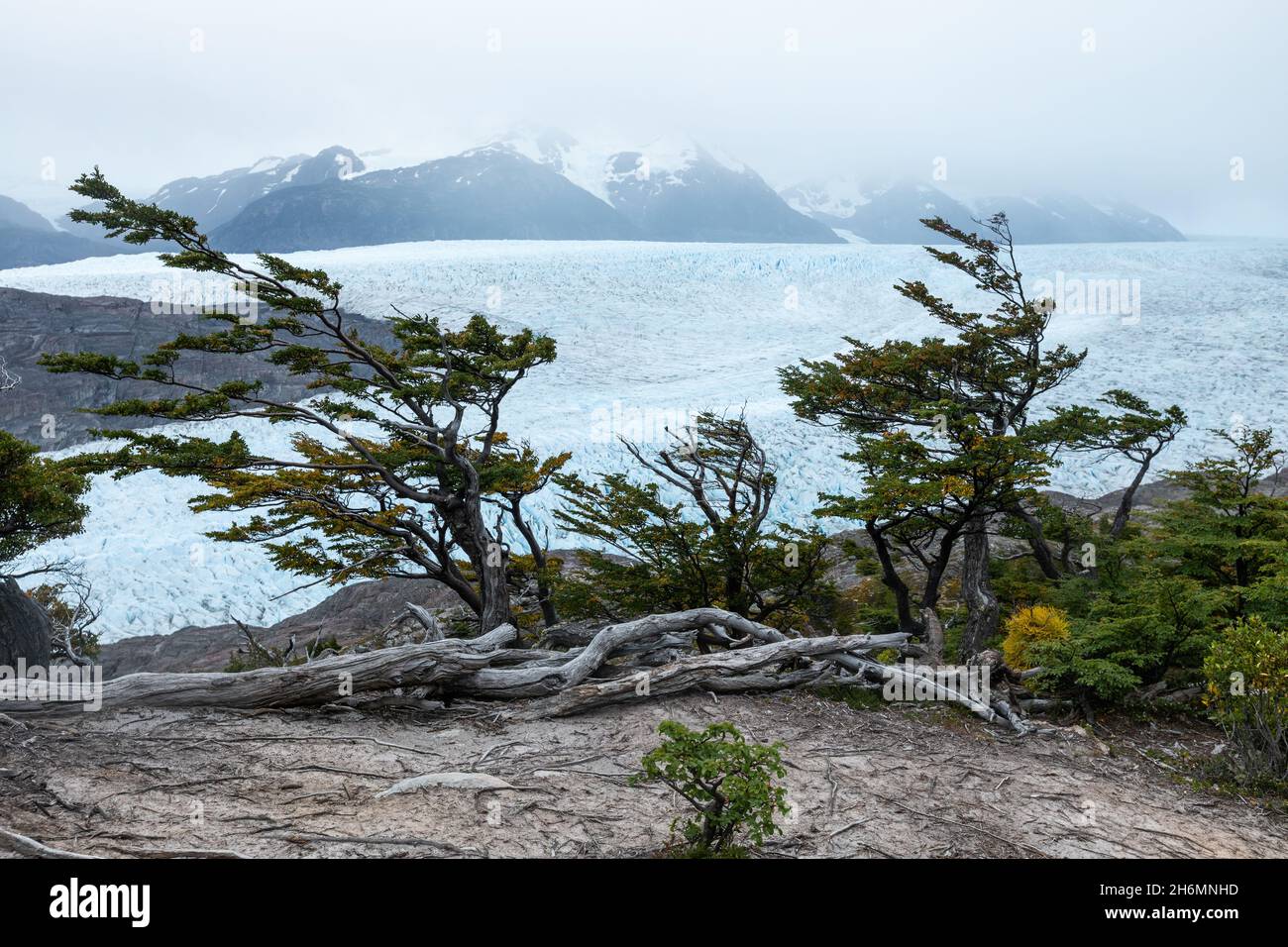 Scenic landscape of Grey Glacier, Torres del Paine National Park, Chile ...