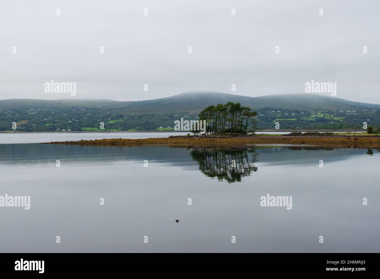 Trees reflecting on the calm lake Stock Photo - Alamy