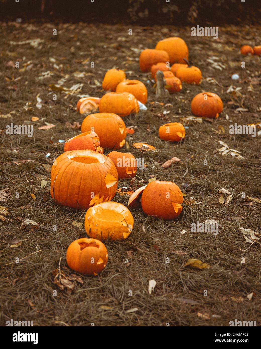 Vertical shot of Halloween pumpkins on the ground in Vilnius, Lithuania ...