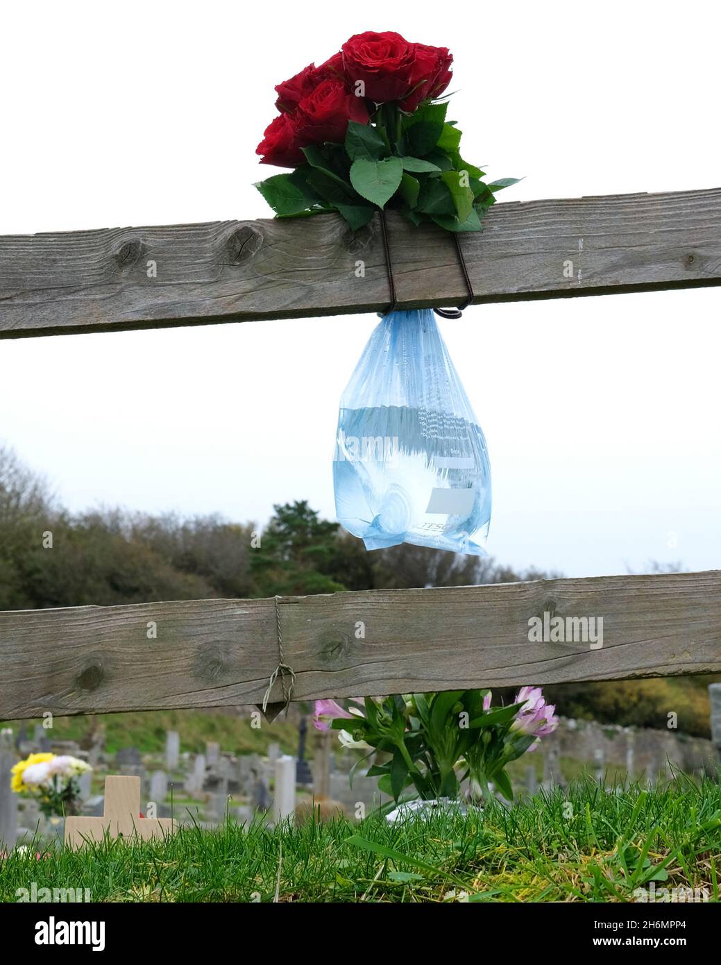 November 2021 - Roses in a plastic at a graveyard in Clevedon, North ...