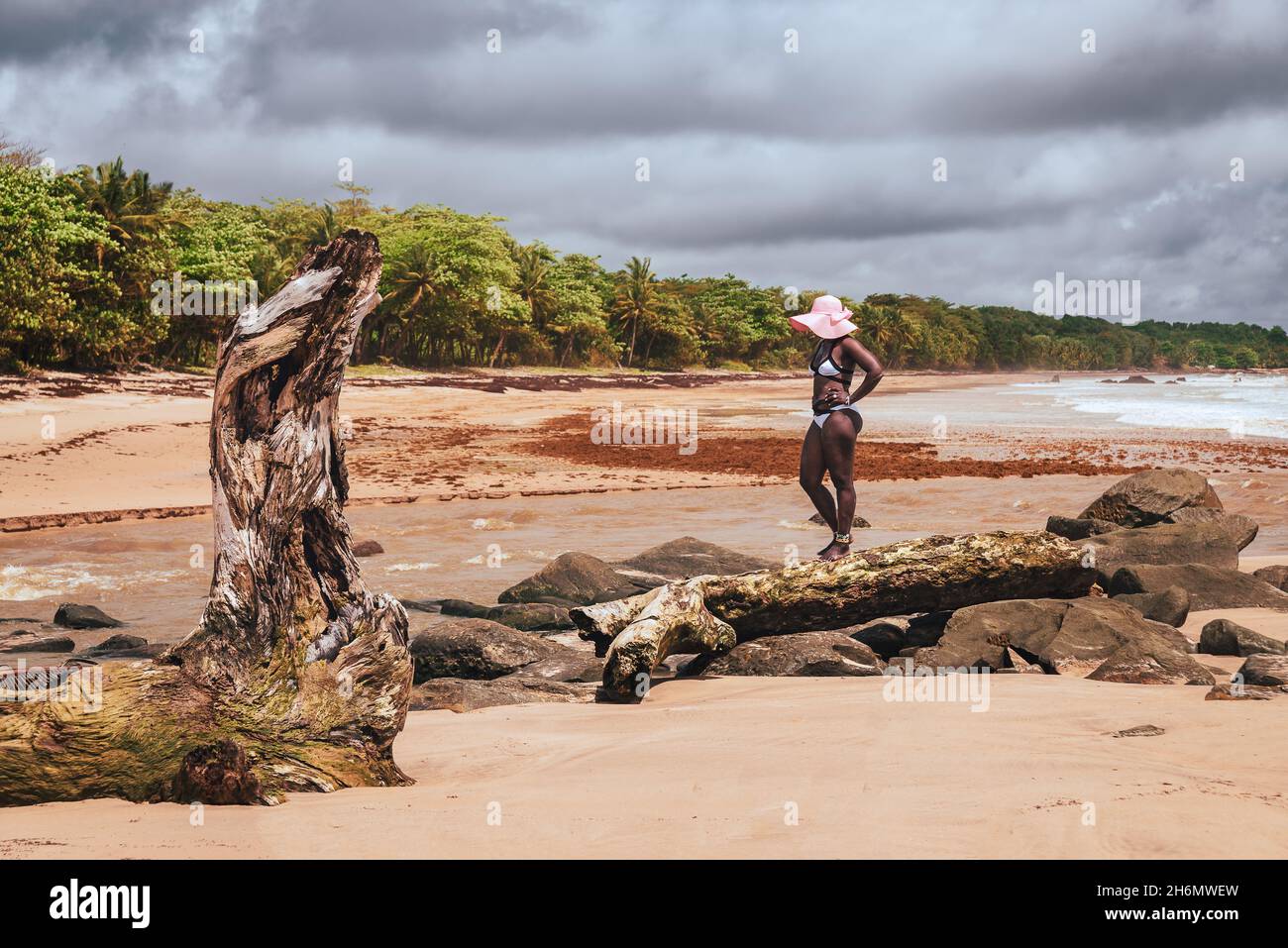 Log in the beach hi-res stock photography and images - Alamy