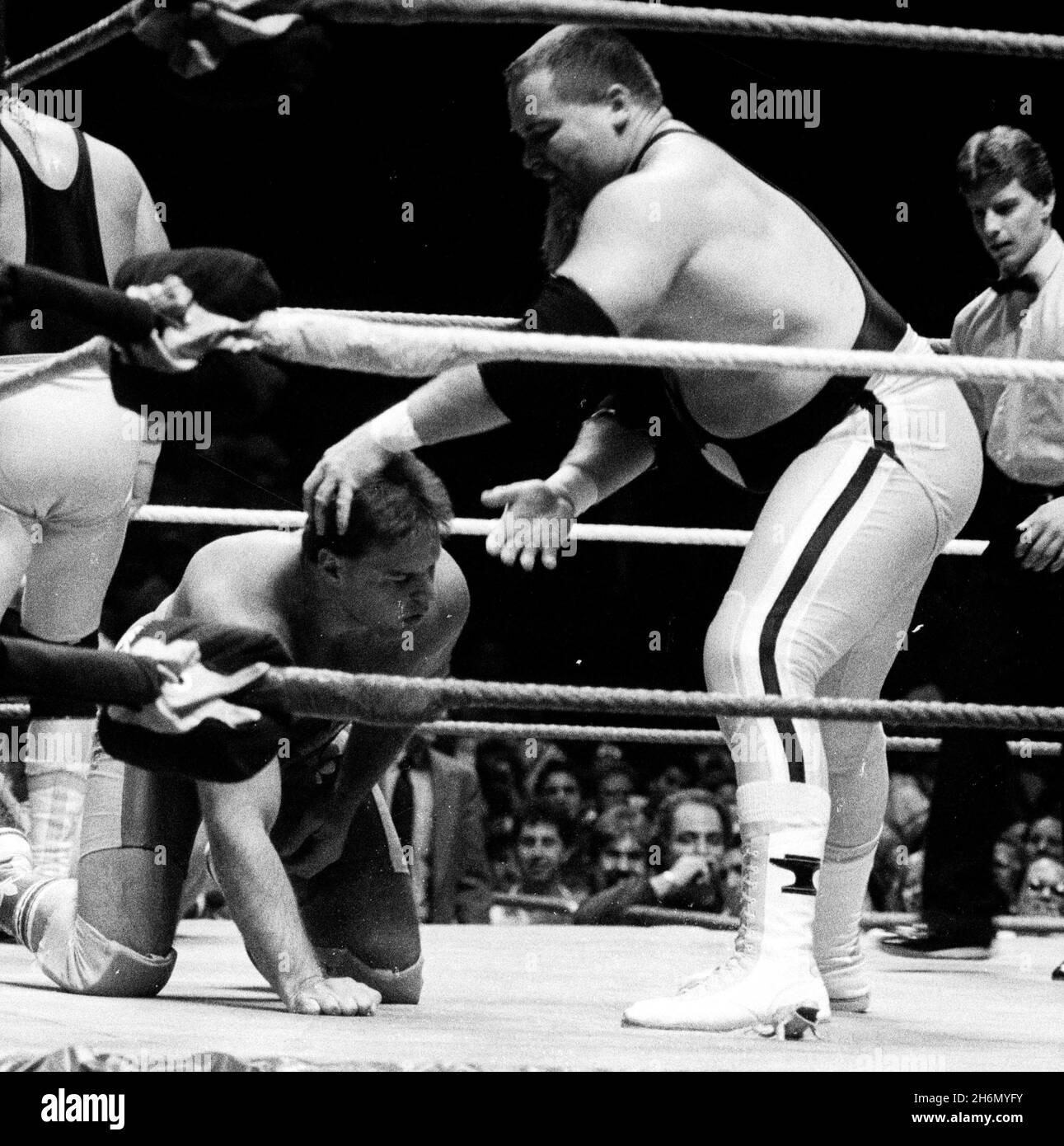Neidhart hi-res stock photography and images - Alamy