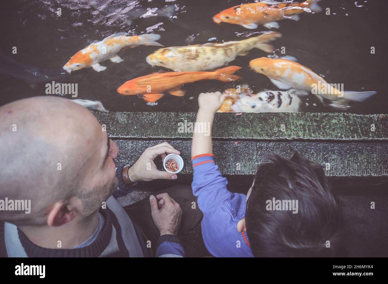 Child feeding fish hi-res stock photography and images - Alamy