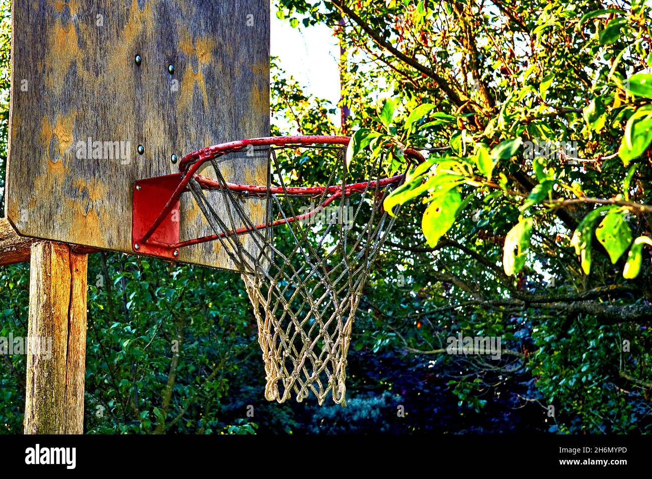 Basketball backboard with hoop among green trees in the yard Stock ...