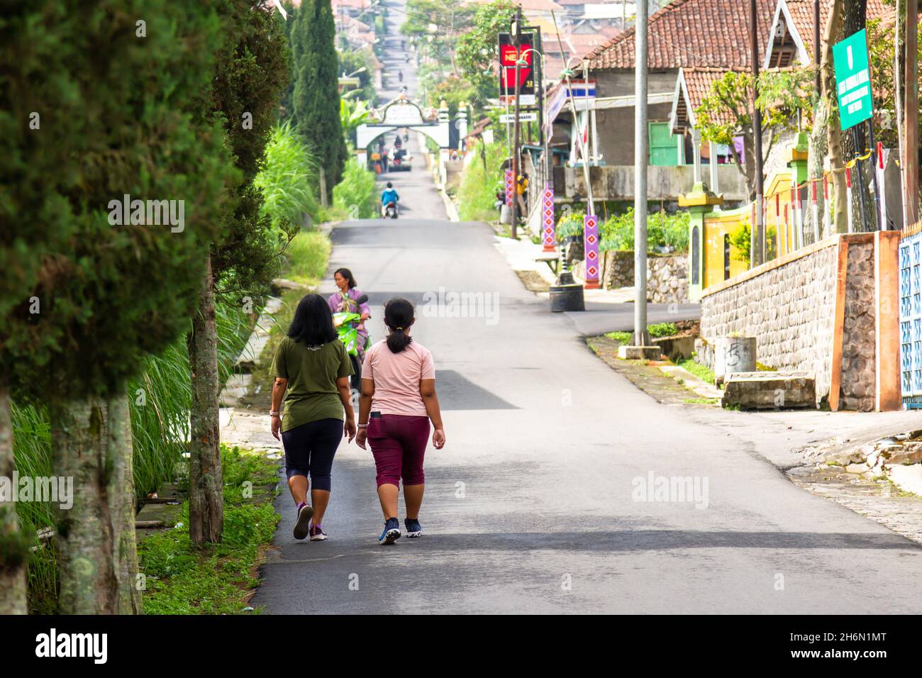 Hiking activities in the Mount Merapi hiking trail area, after the ...