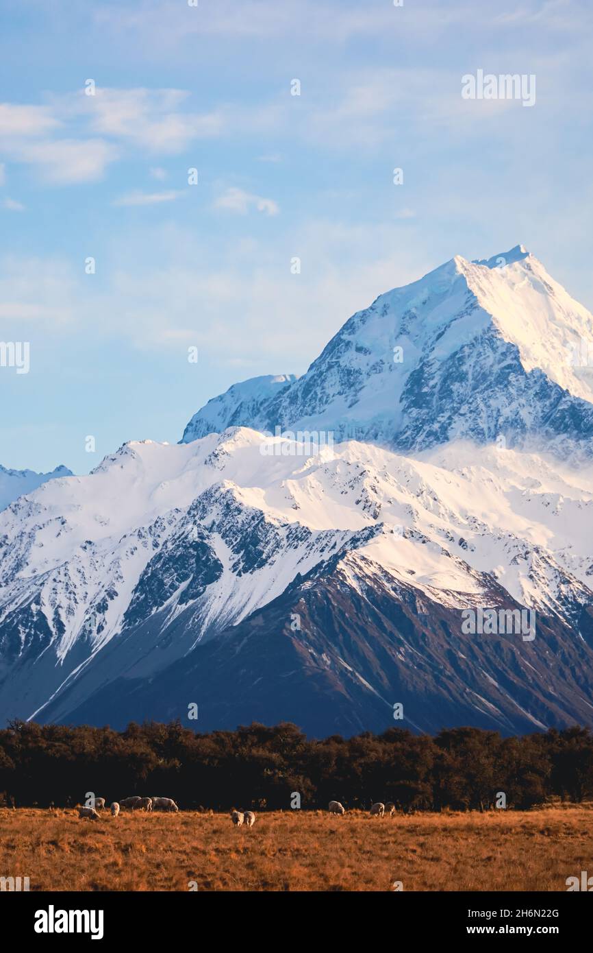 Mount Cook National Park Stock Photo - Alamy