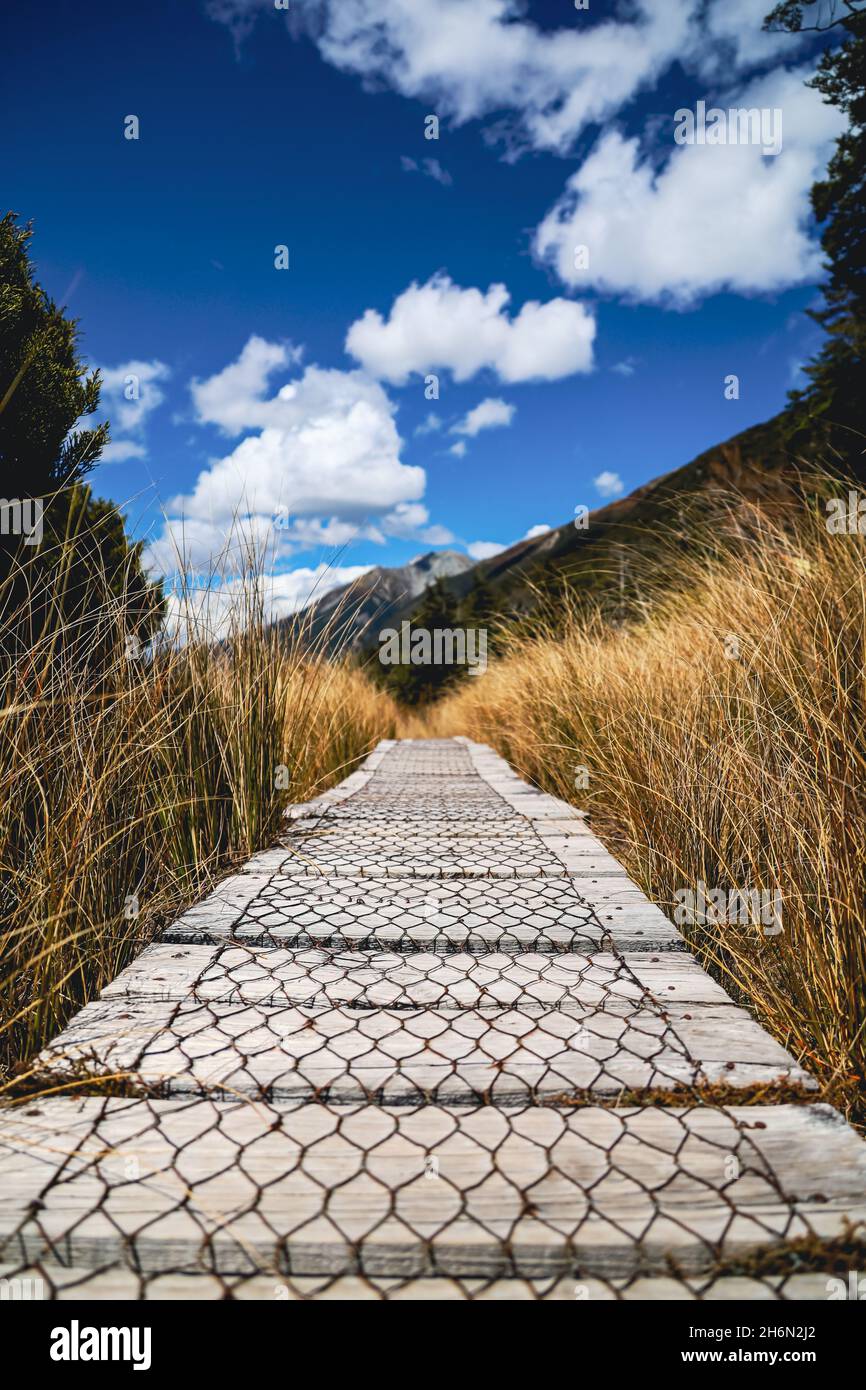 Hike path adventure hi-res stock photography and images - Alamy