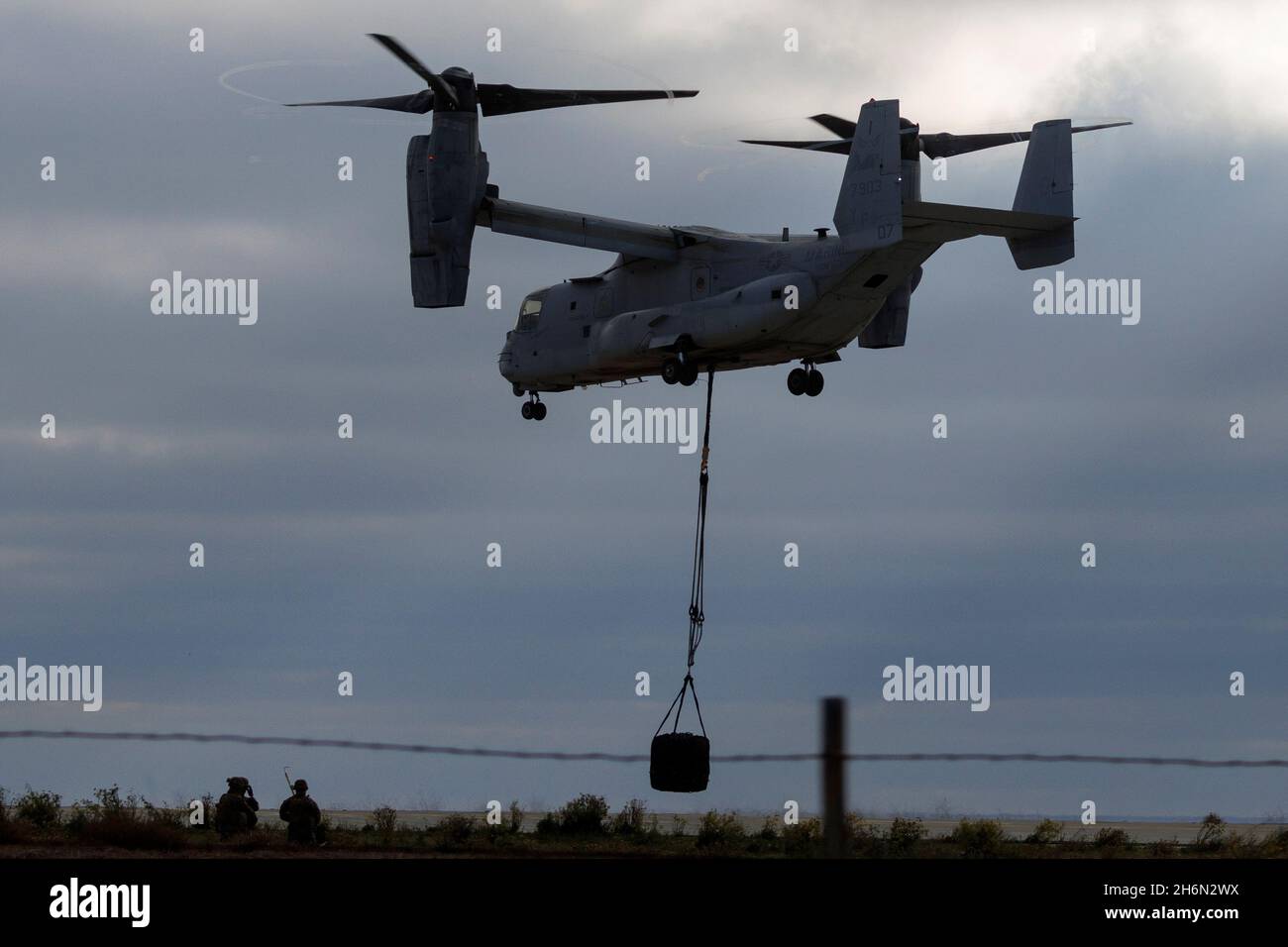 Blake bell hi-res stock photography and images - Alamy