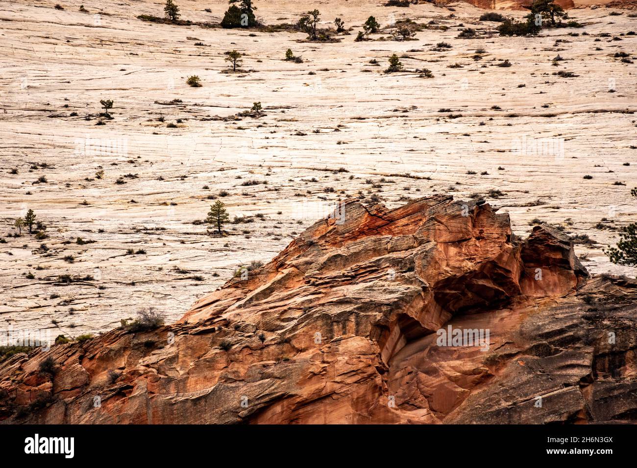 Orange Rock Outcropping With White Rock Background in Zion National ...