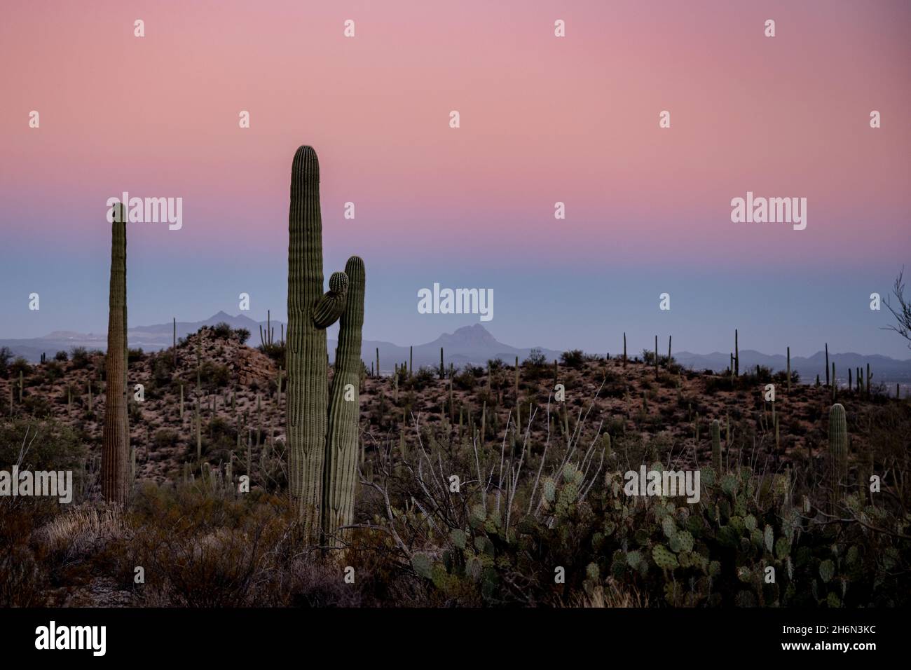 Soft pink sunset skies hi-res stock photography and images - Alamy