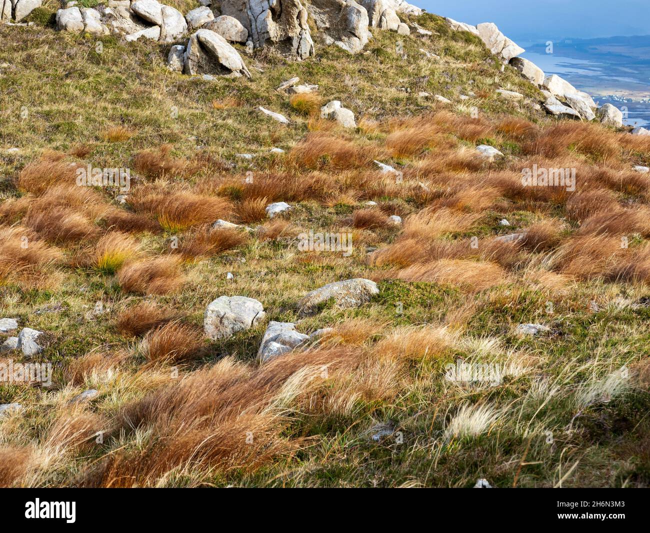 Being dearg hi-res stock photography and images - Alamy