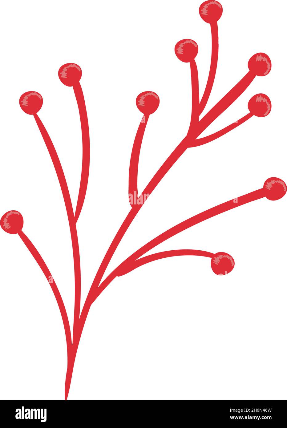 Mistletoe branch berries isolated Stock Vector Images - Alamy
