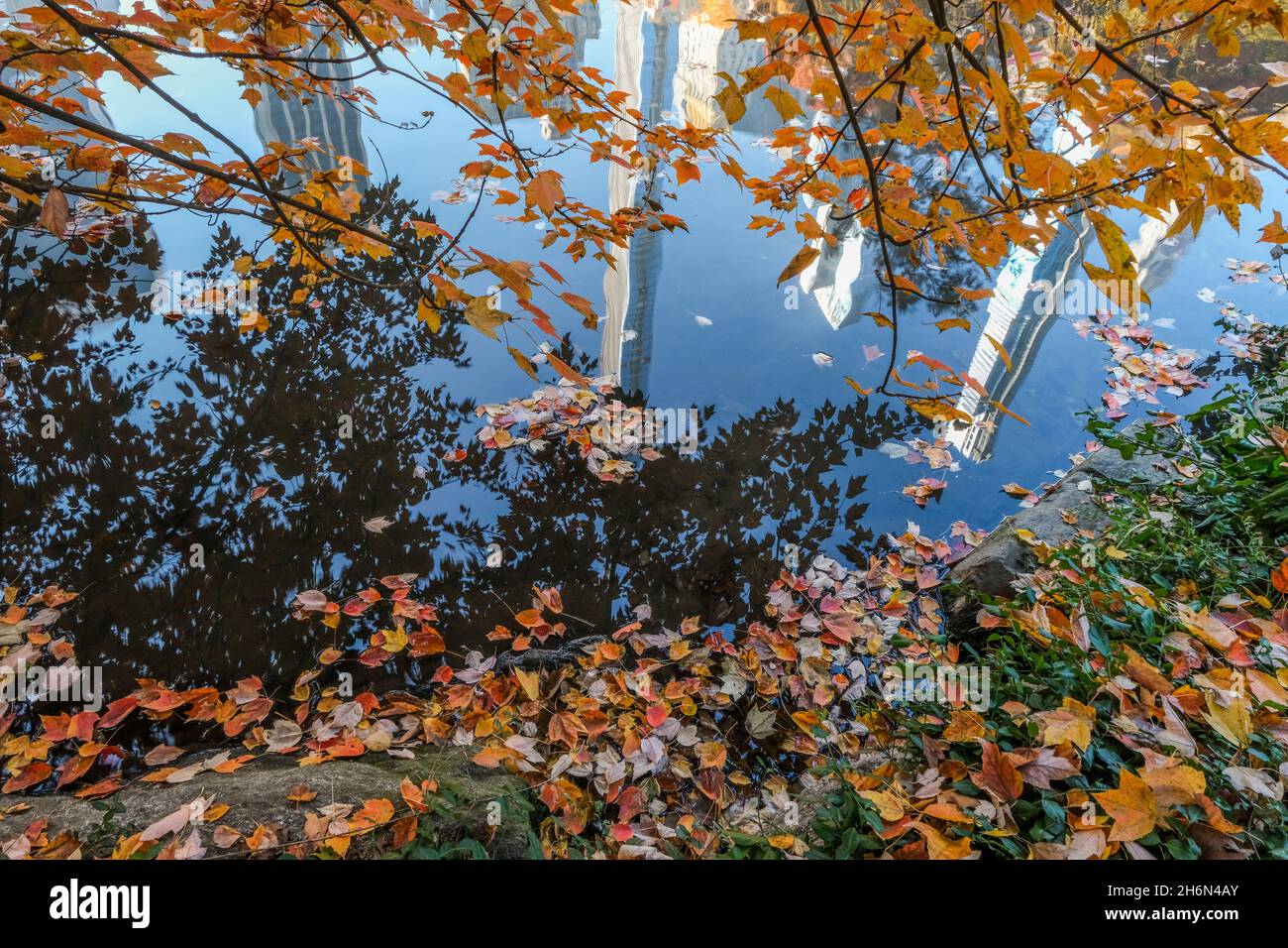 Season transitions hi-res stock photography and images - Alamy