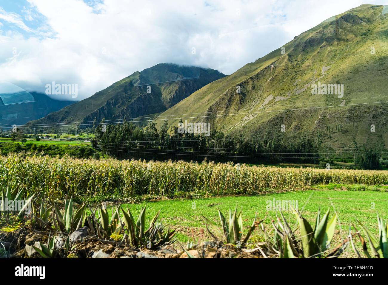 Crop field at the railwayside in sacred valley of Inca at Ollantaytambo ...
