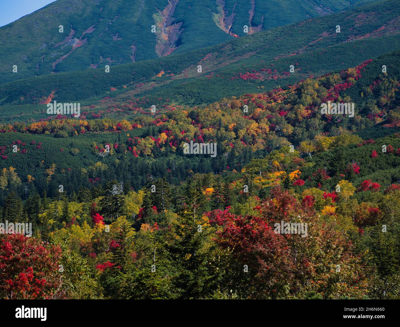 Autumn Foliage from Mt.Tokachi Observatory, Hokkaido, Japan Stock Photo ...