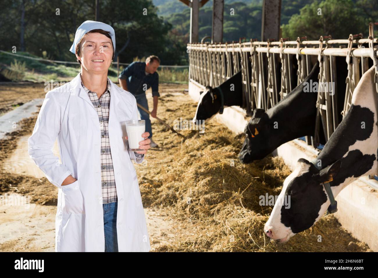 Quality expert hi-res stock photography and images - Alamy